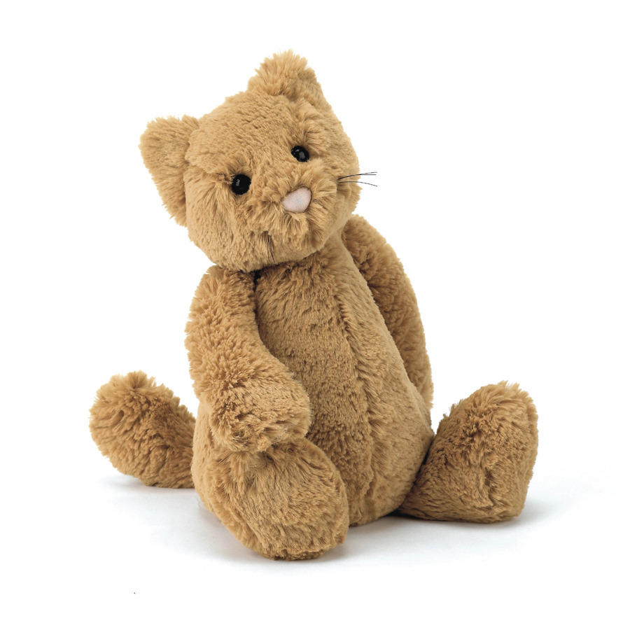 Bashful Ginger Cat – Jellycat Collector Database